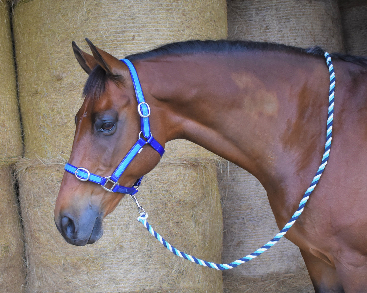 PVC Head Collars – H & O Equine Apparel