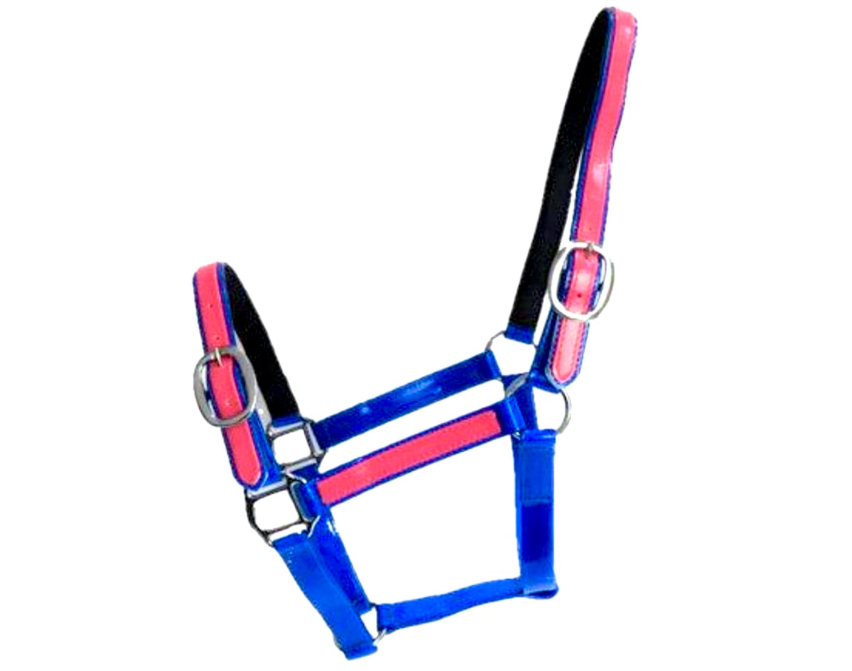 Royal & Pink PVC Head Collar **NEW COLOUR** – H & O Equine Apparel