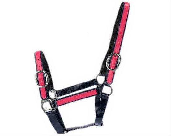 Navy & Pink PVC Head Collar – H & O Equine Apparel