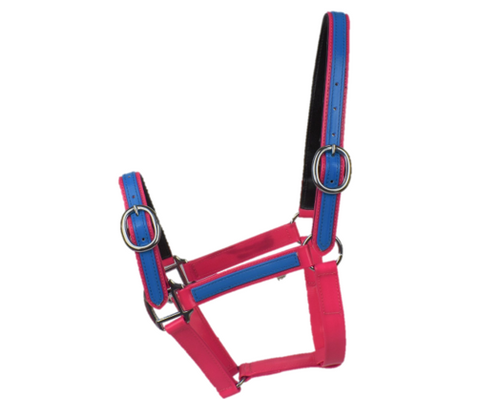 PVC Head Collars – H & O Equine Apparel